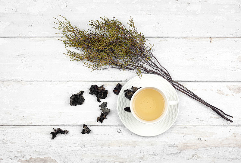 Mushroom Tea Guide – Simple Loose Leaf