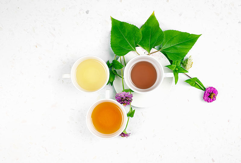 Origin of Tea: Where does tea come from? – Simple Loose Leaf